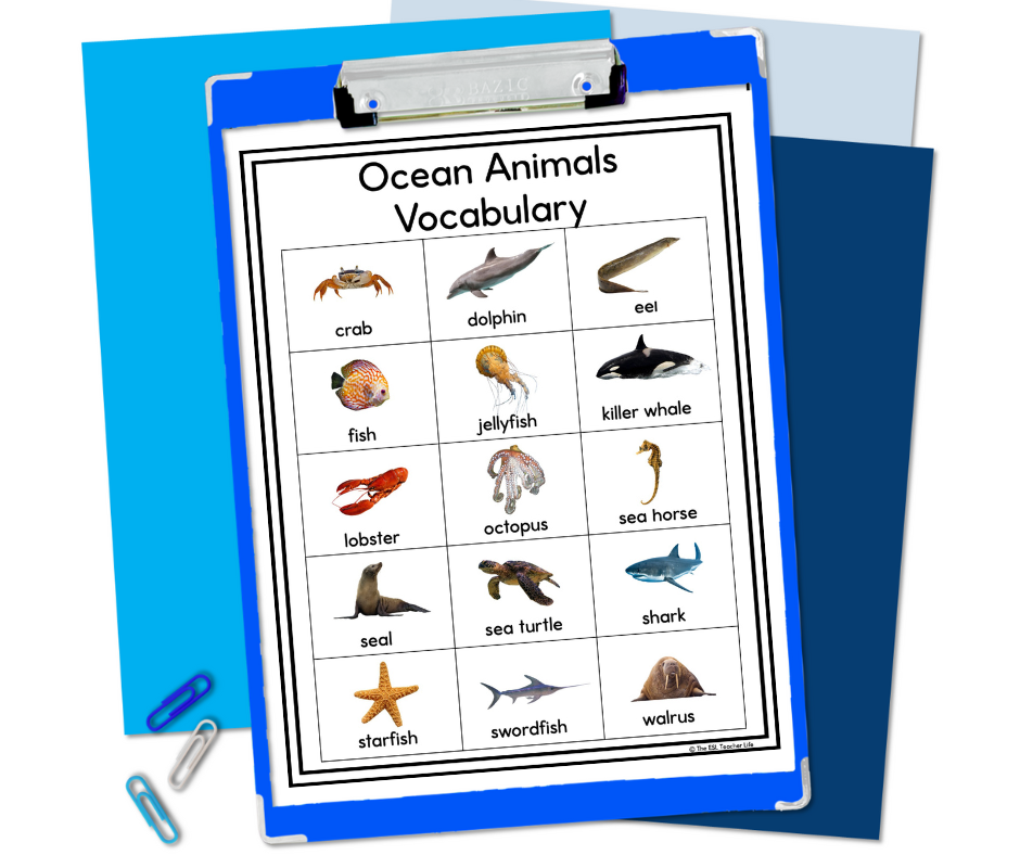 3 Ways to Use Vocabulary Posters with Multilingual Learners - The ESL ...
